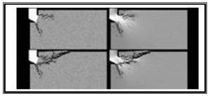 真实破裂过程分析(RFPA)软件 - 积社科技